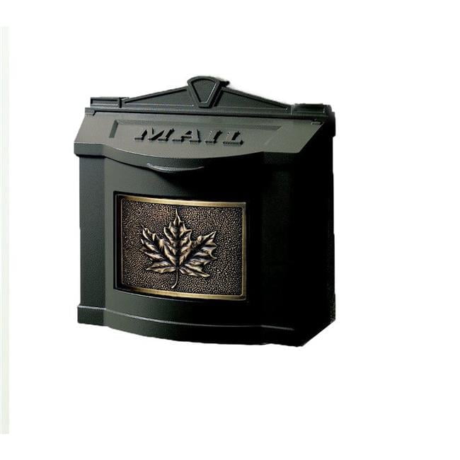 Qualarc E1 Economy Mailbox Locking Insert - Walmart.com