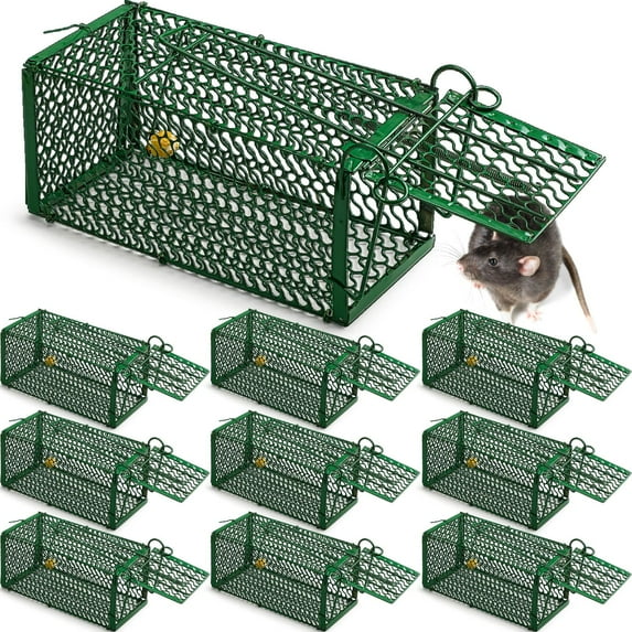 Qualirey 10 Pcs Humane Rat Trap Chipmunk Squirrel Cage Trap Foldable ...