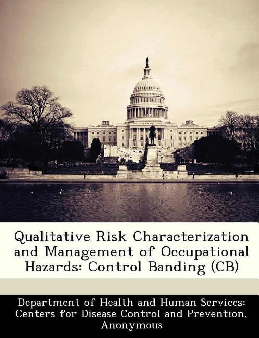 Qualitative Risk Characterization and Management of Occupational ...