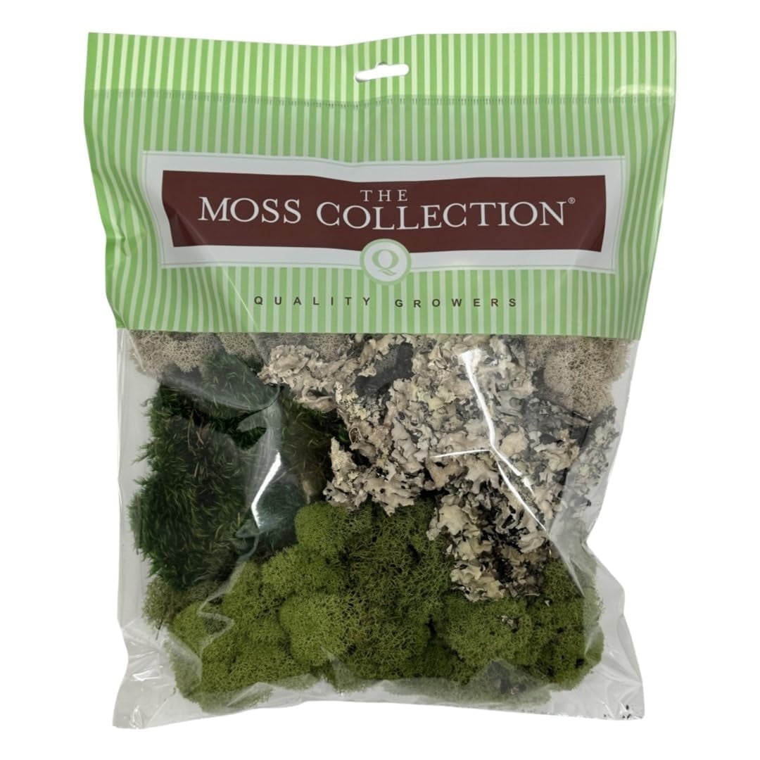 Quality Growers - The Moss Collection Variety Pack - Natural Decorative ...