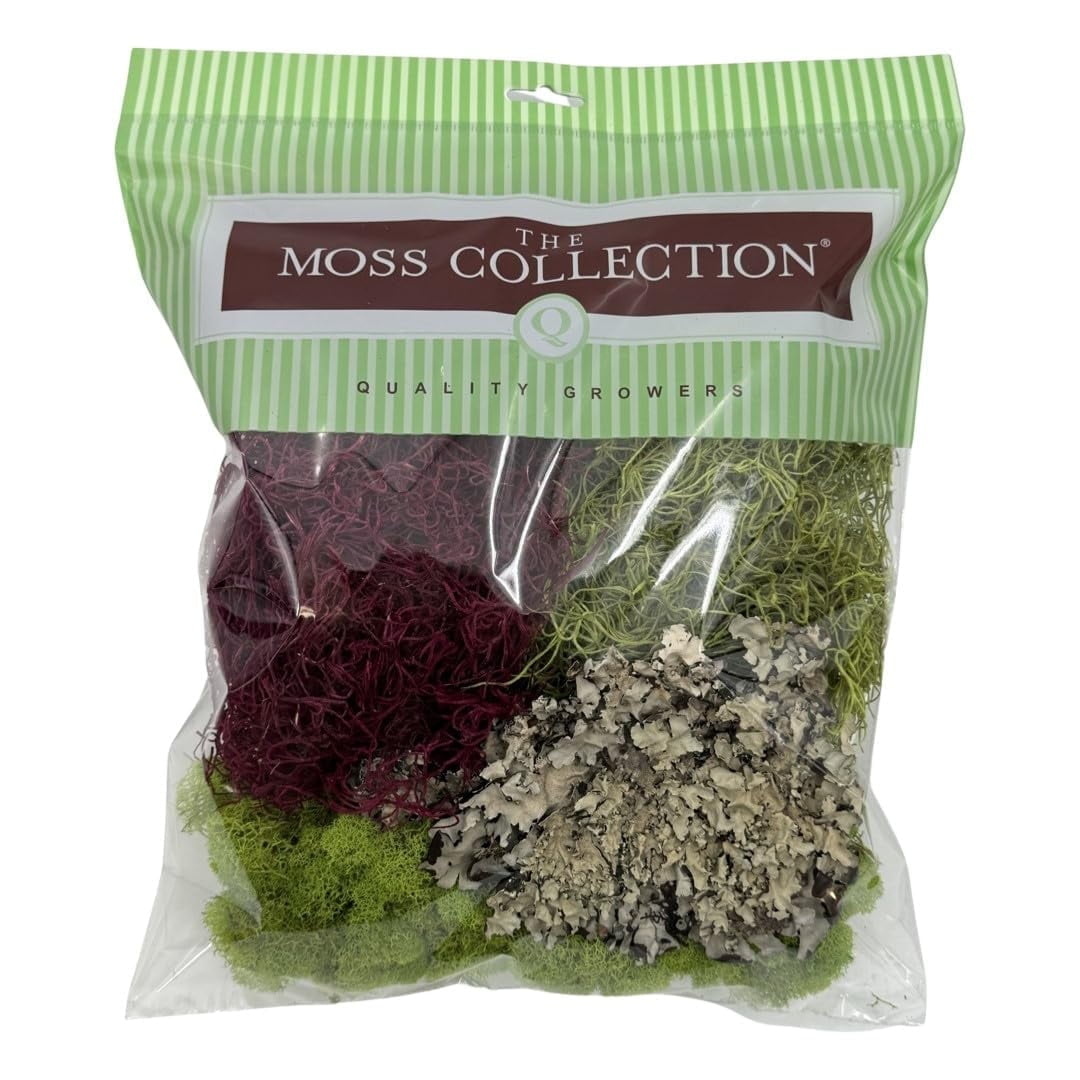 Quality Growers - The Moss Collection Variety Pack - Natural Decorative ...