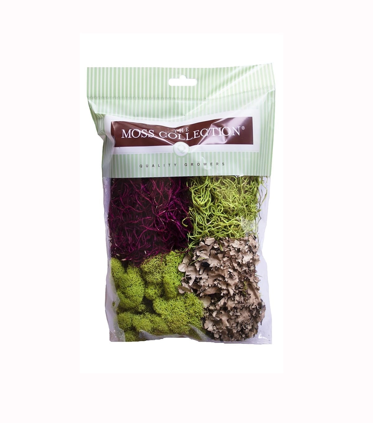 Quality Growers - The Moss Collection Variety Pack - Natural Decorative ...