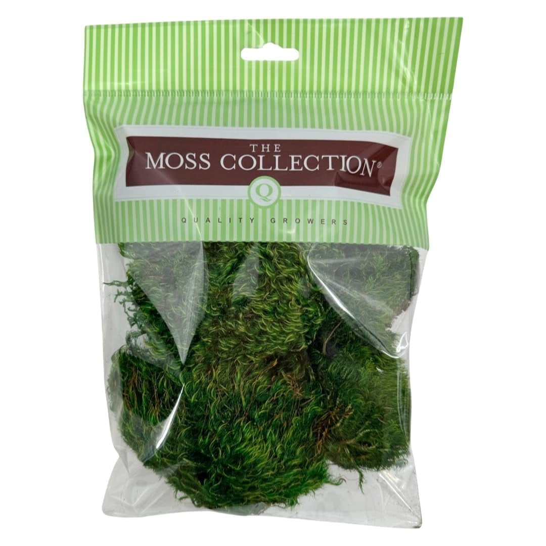 Quality Growers - Preserved Mood Moss - Decorative Moss - Dried Moss ...
