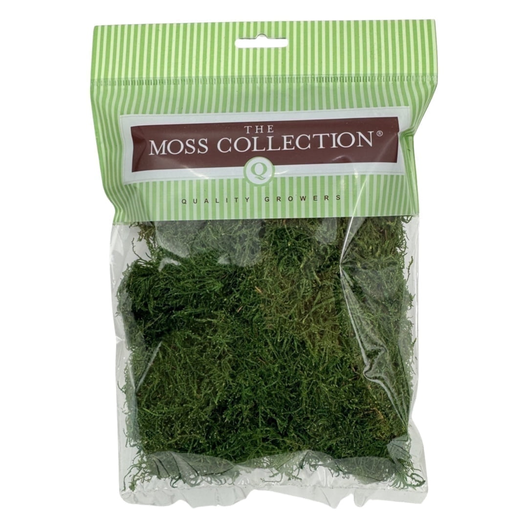 Quality Growers - Preserved Sheet Moss - Natural Decorative Moss ...
