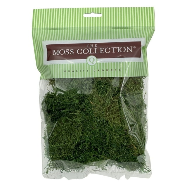Quality Growers - Preserved Sheet Moss - Natural Decorative Moss - Dried Moss for Crafts, Home ...