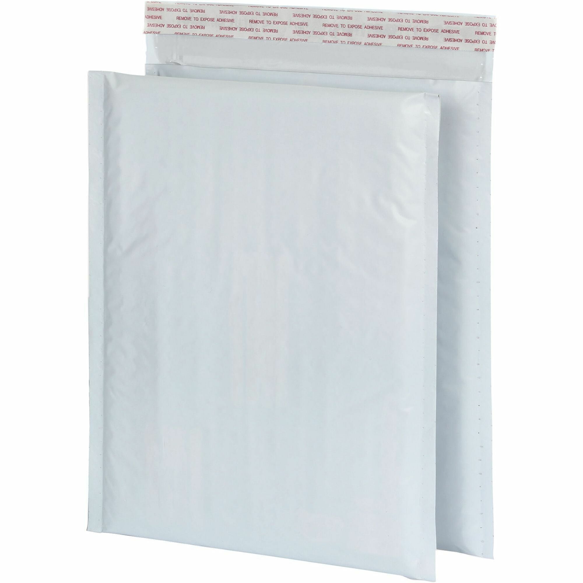 Quality Park Mailer 95009 - Walmart.com