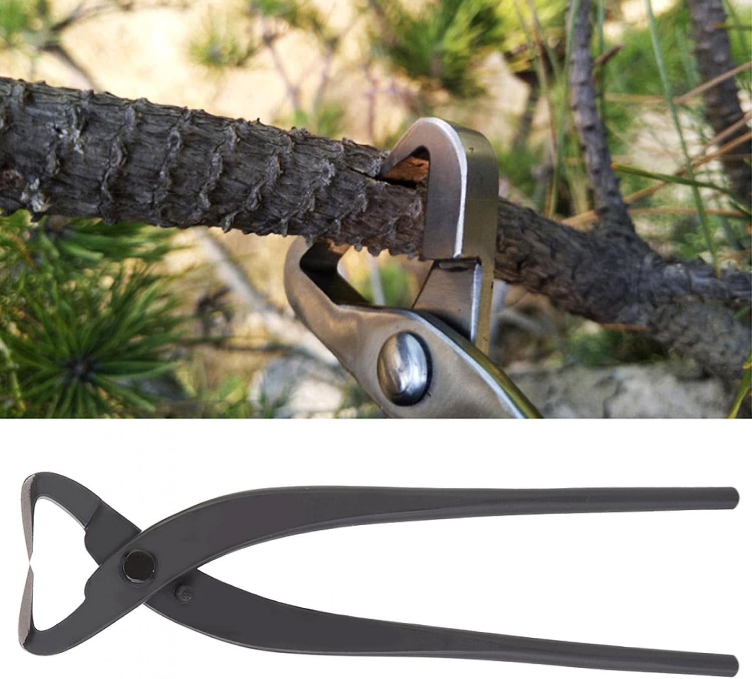 Quality Steel Trunk Splitter Scissor Beginner Bonsai Modeling Tools ...