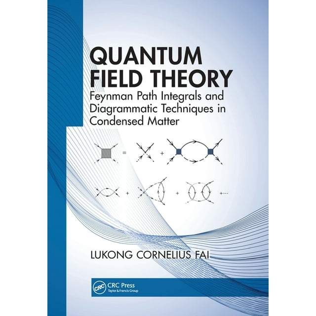 Quantum Field Theory: Feynman Path Integrals and Diagrammatic Techniques in Condensed Matter ...