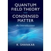 Quantum Field Theory (Hardcover) - Walmart.com