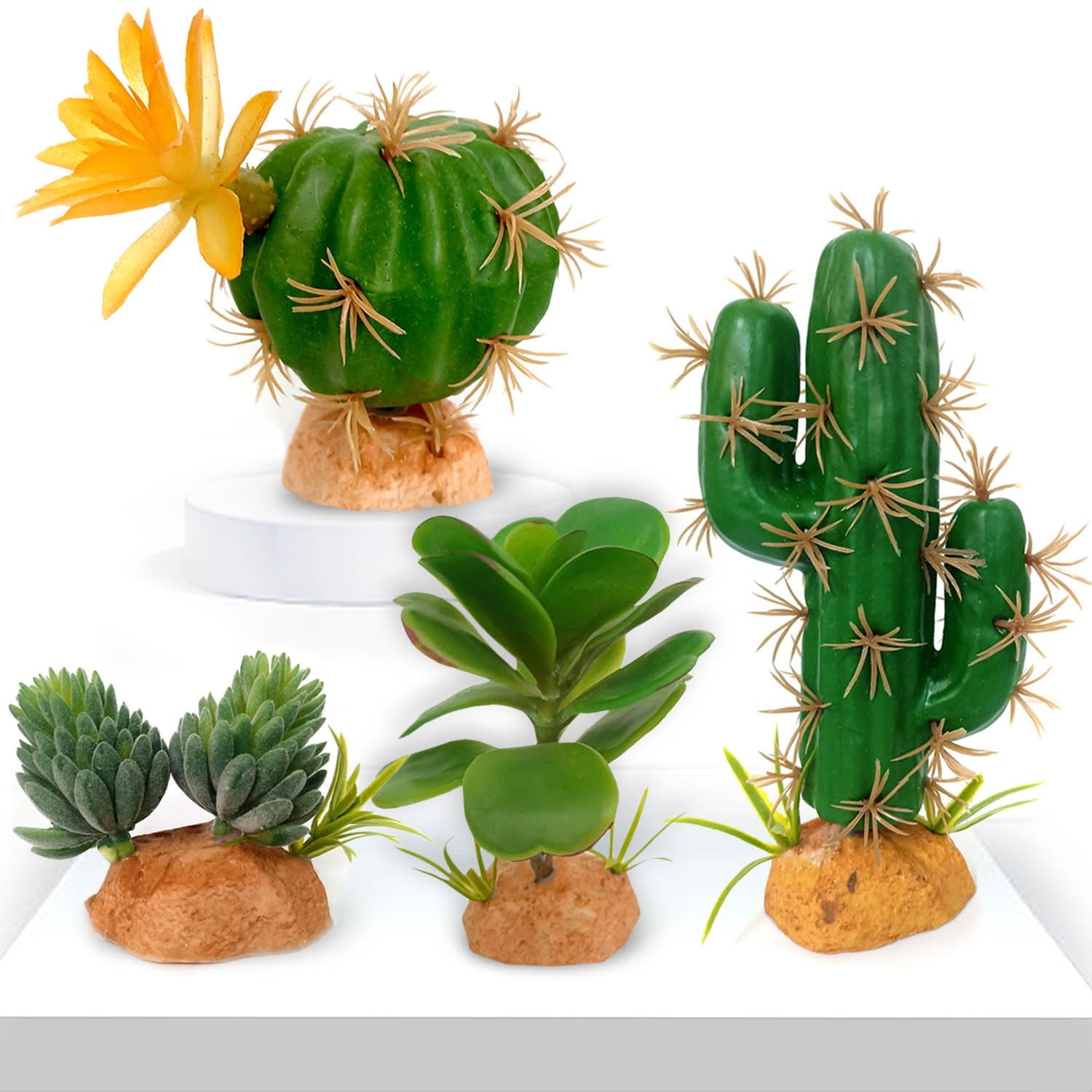 QuarenDen Fake Reptile Plants, Desert Reptile Plants Succulent kit ...