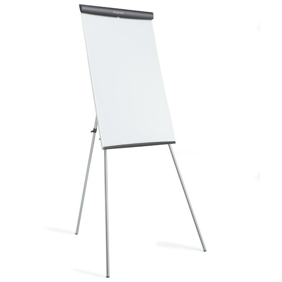 Easel Flip Chart