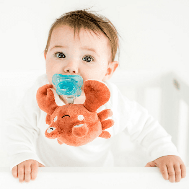 Queebi PaciBuddy Crab Pacifier Holder - Plush Toy Includes Detachable ...