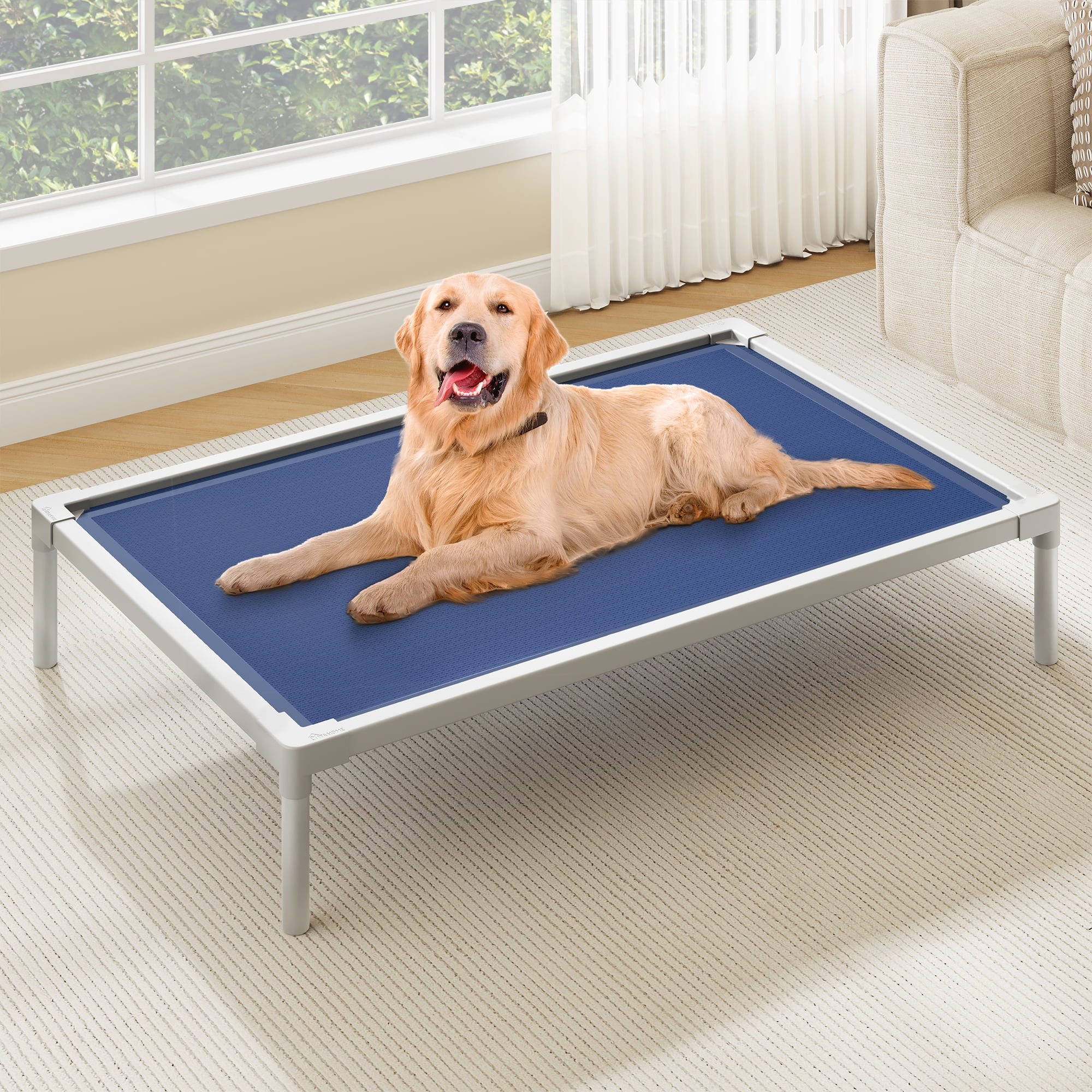 QueelQuest Elevated Dog Bed, Aluminum Frame Chew Proof Raised Pet Cot ...