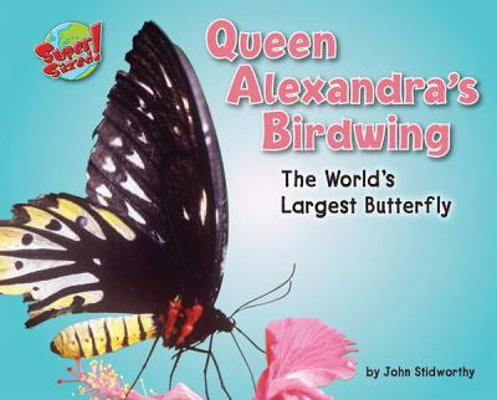 Pre-Owned Queen Alexandra Birdwing: The World's Largest Butterfly ...