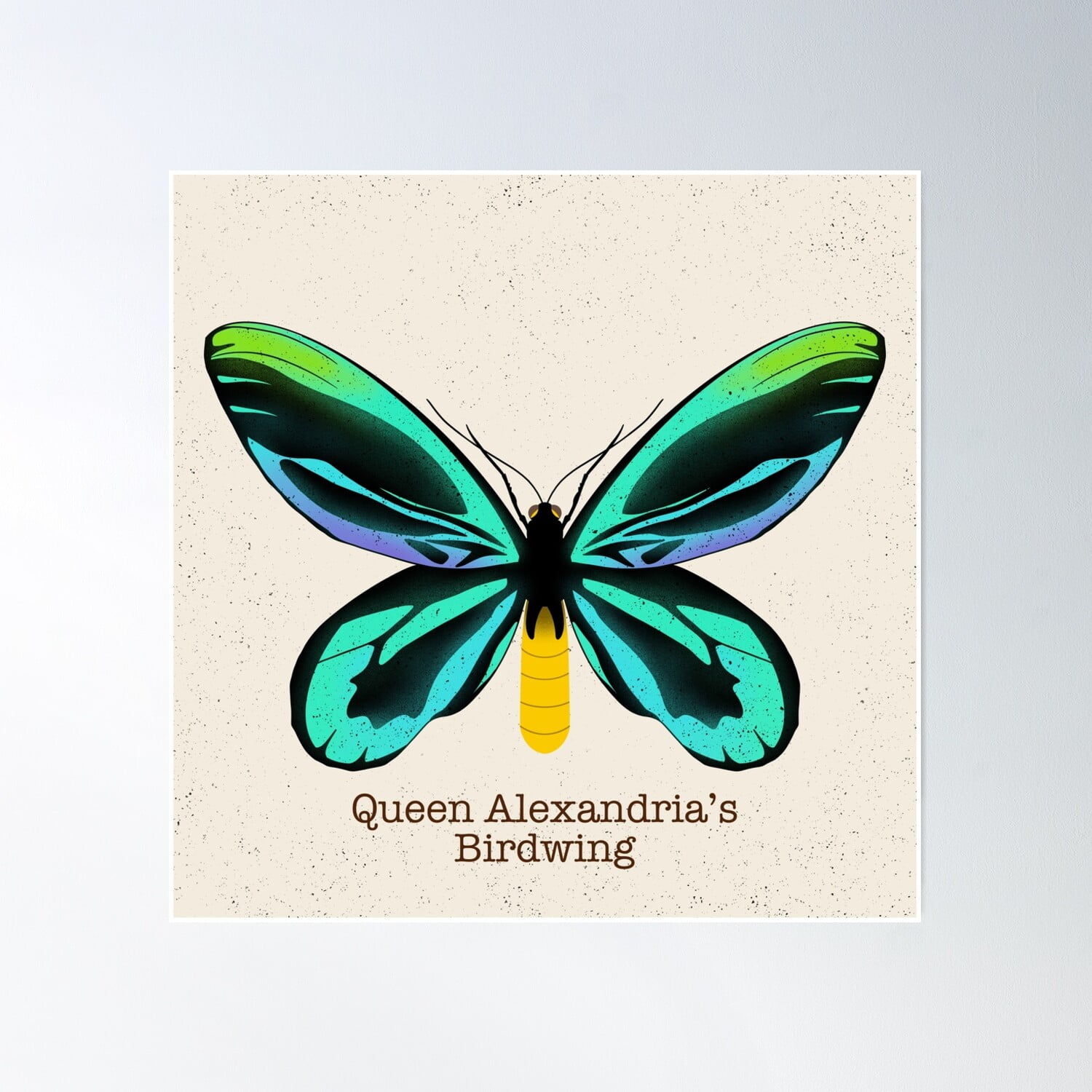 Queen Alexandria Birdwing Butterfly Poster Wall Art, Modern Wall Decor ...