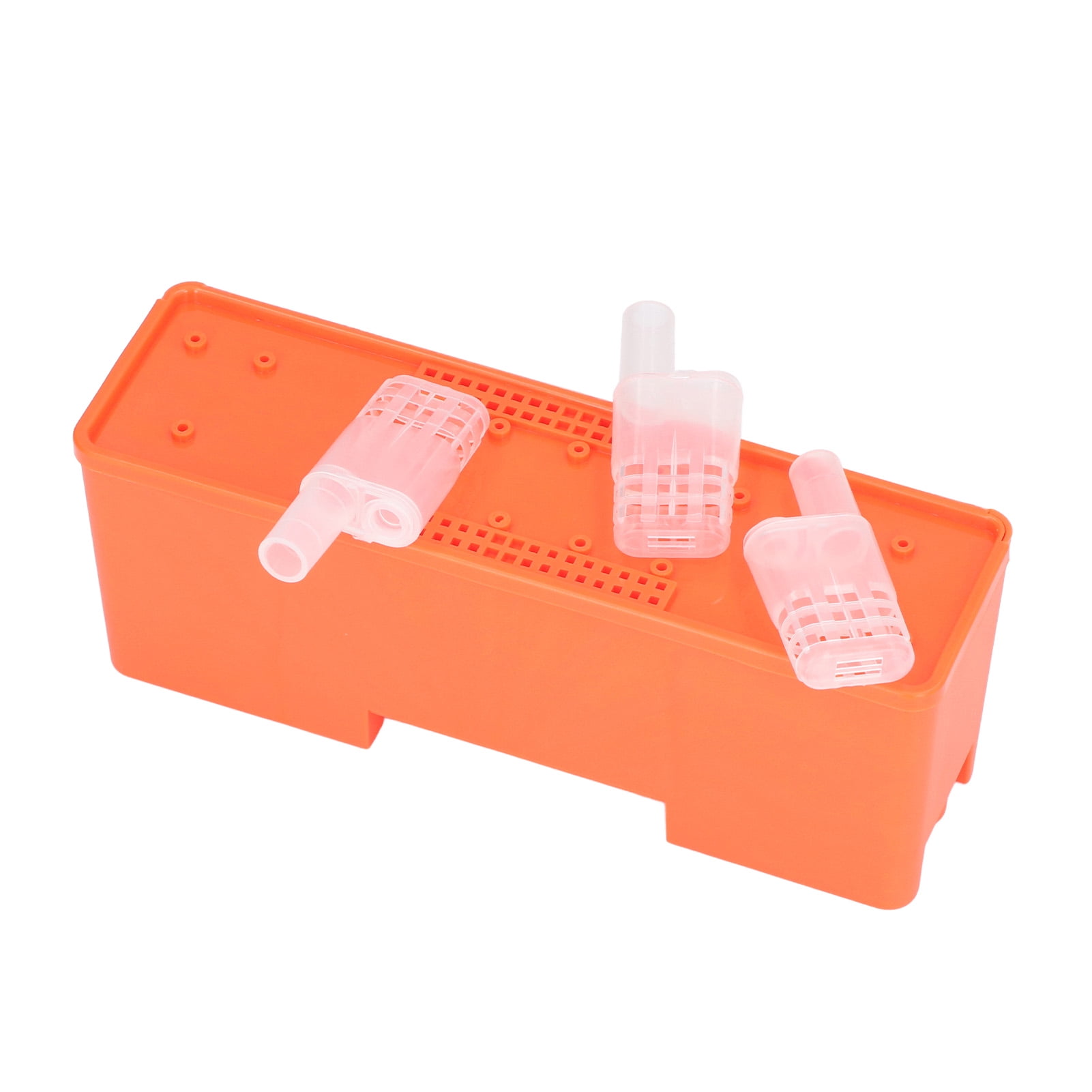 Queen Bee Cage, Easy Installation Plastic King Cage Transport Box ...