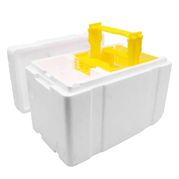 Queen Bee Rearing Mating Beehive Beekeeping Tool Foam Pollination Box ...
