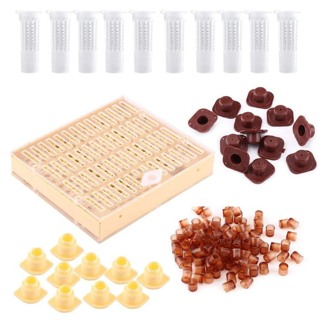 Queen Bees Rearing Box for Efficient Honeybees Breeding Production ...