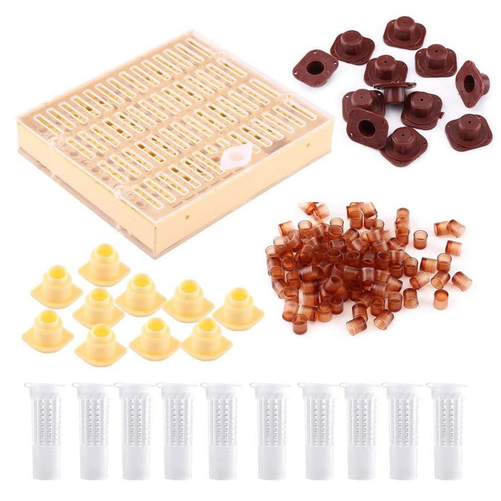 Queen Bees Rearing Box for Efficient Honeybees Breeding Production Farming, Acrylic Beekeeping ...