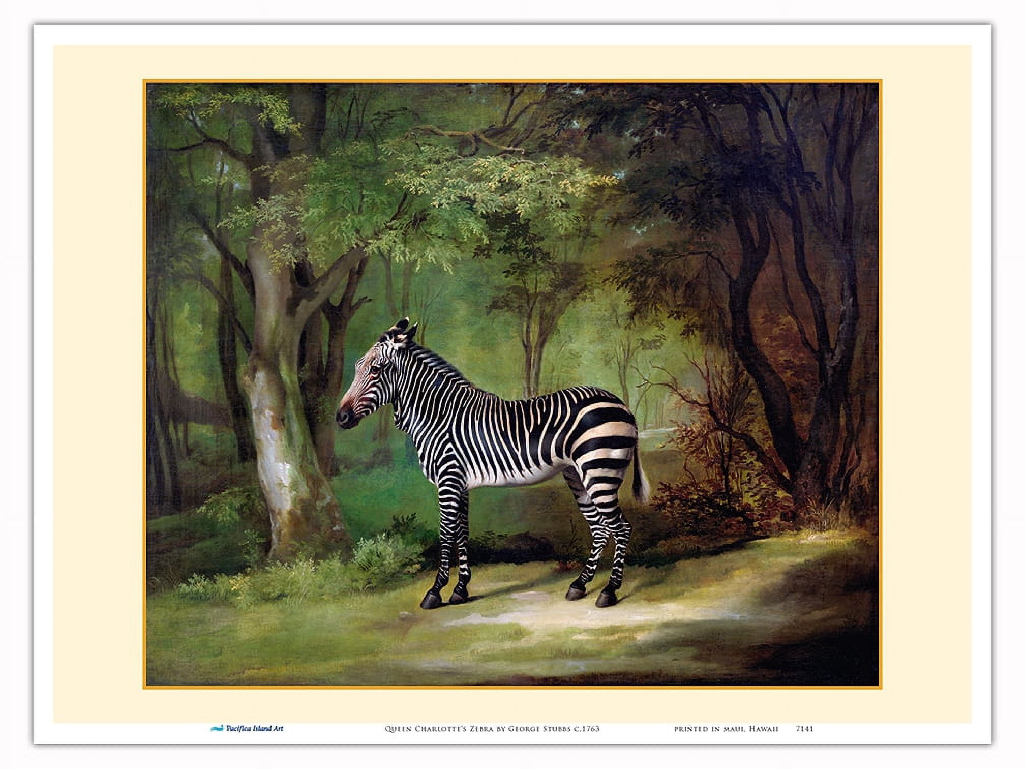 Queen Charlotte’s Zebra - From an Original Color Painting by George ...
