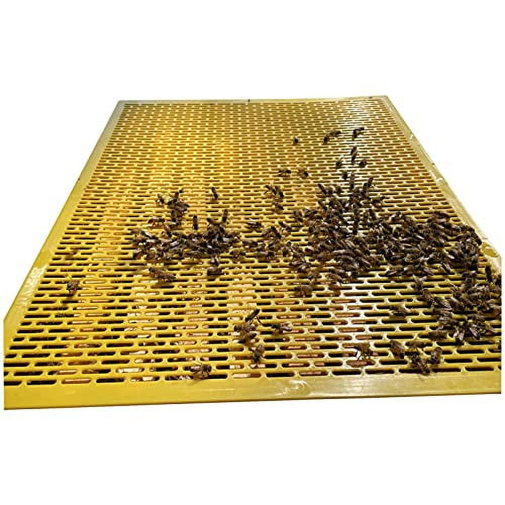 Queen Excluder 10Frame Plastic, excluders for Beehive, Beekeeping ...