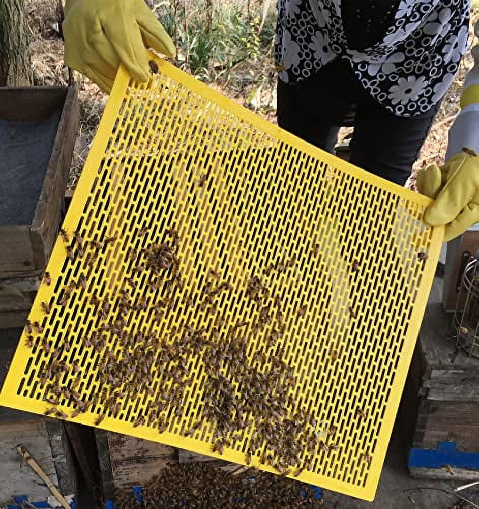 Queen Excluder 10Frame Plastic, excluders for Beehive, Beekeeping ...