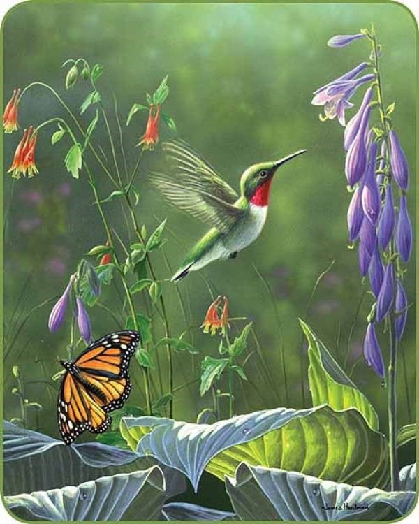 Queen Hummingbird Butterfly Flower Hosta Garden Mink Super Soft Faux ...