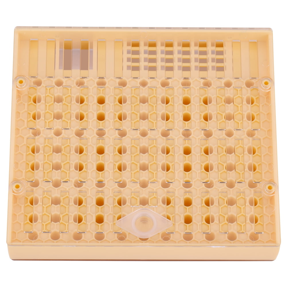 Queen Rearing Cup Kit Bee Cultivating Tool Plastic Beekeeping Box Cage ...