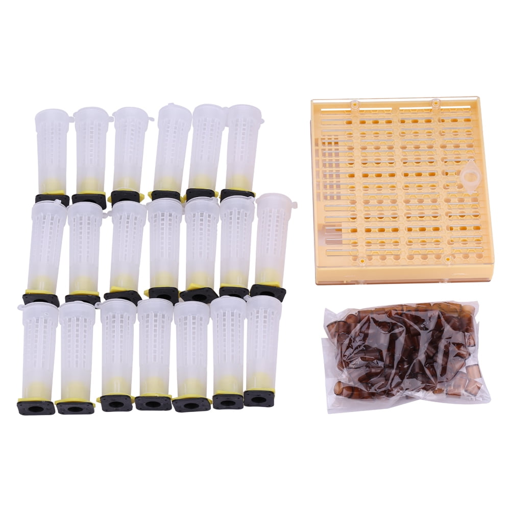Queen Rearing Cup Kit Bee Cultivating Tool Plastic Beekeeping Box Cage ...