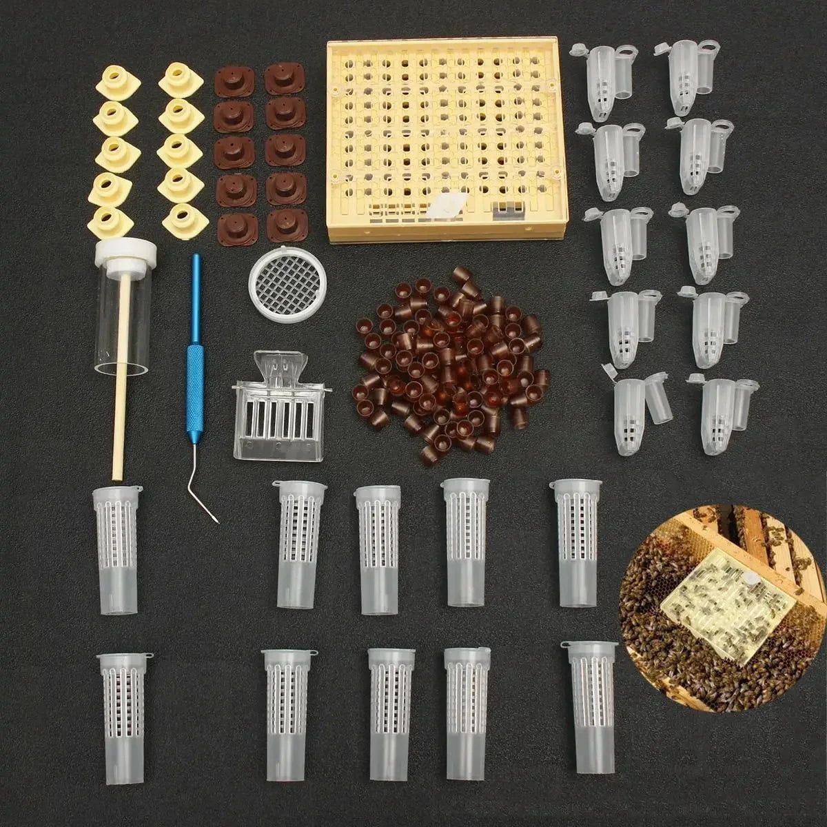 Queen Rearing Kit for Beekeepers - Complete Starter Set with Bee ...