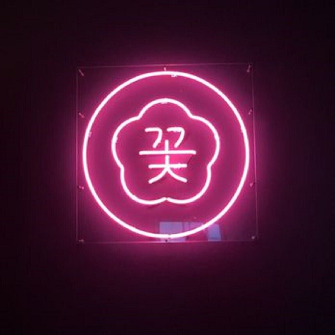 Queen Sense 12" Cote Korean Neon Sign Acrylic Man Cave Pub Bar Wall ...