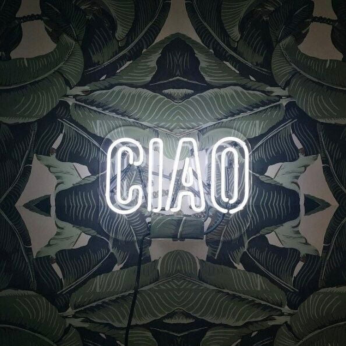 Queen Sense 14" Ciao Neon Sign Acrylic Man Cave Pub Bar Wall Decor ...