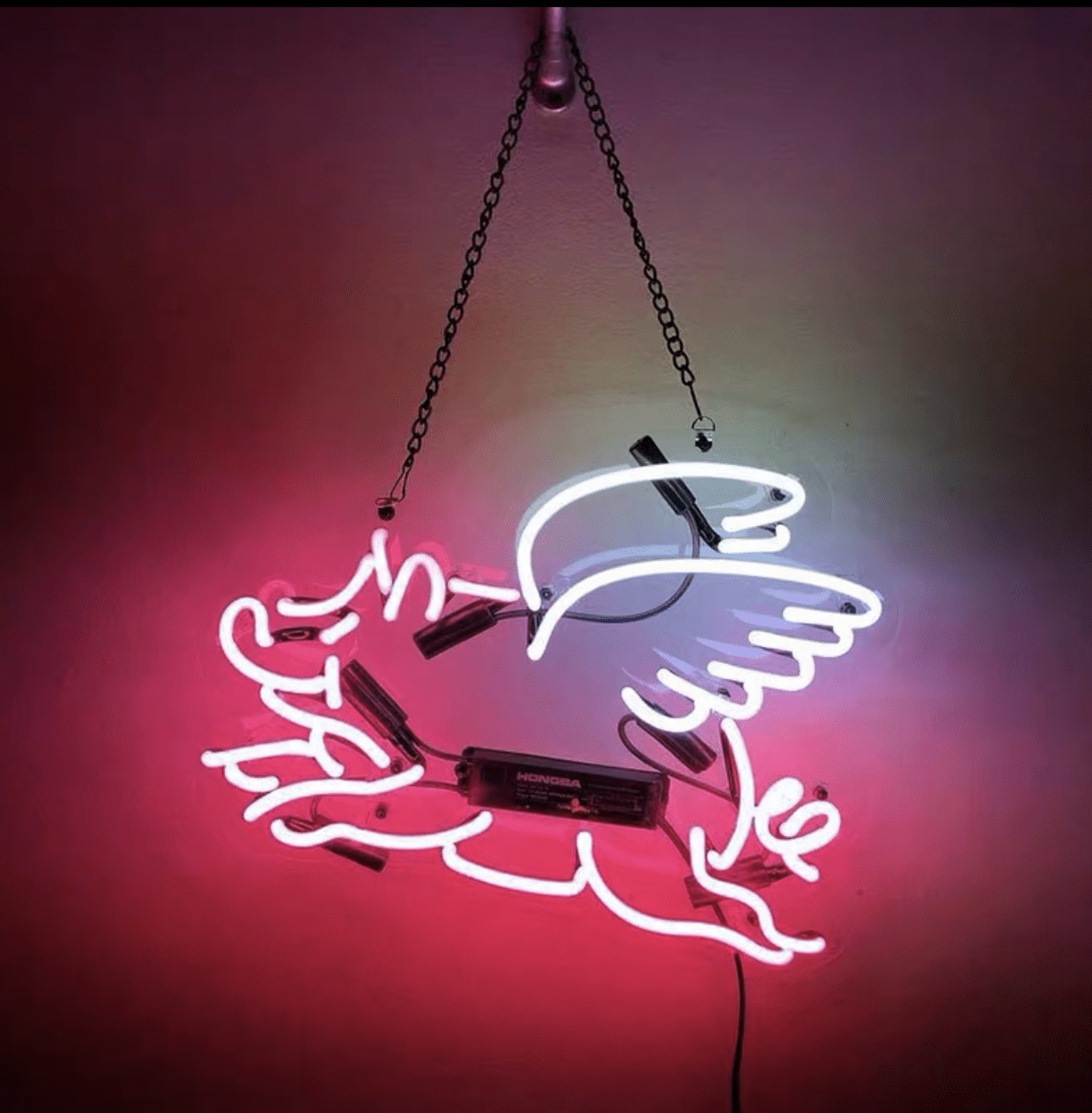 Queen Sense 14" Flying Pig Neon Sign Acrylic Man Cave Handmade Neon ...