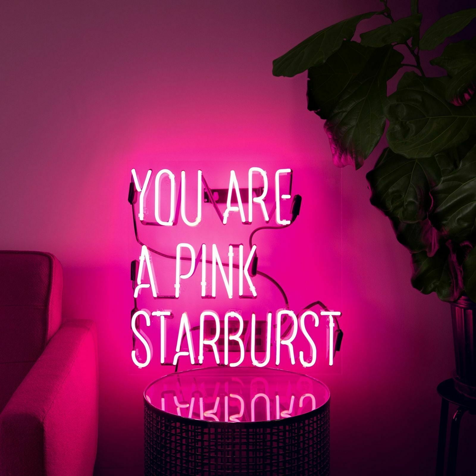 Queen Sense 14" Pink Starburst Neon Sign, Handmade Acrylic Neon Light ...