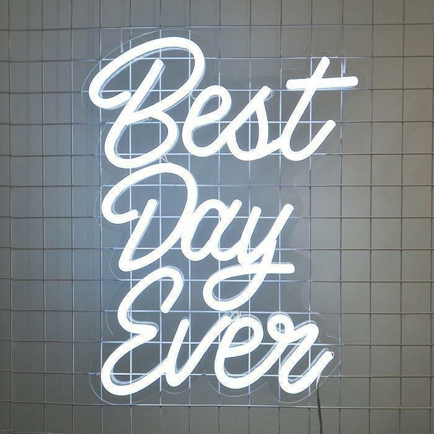 Queen Sense 14"x10.7" Best Day Ever LED Sign Light Wall Decor Party Night Lights Flex Neon Signs ...