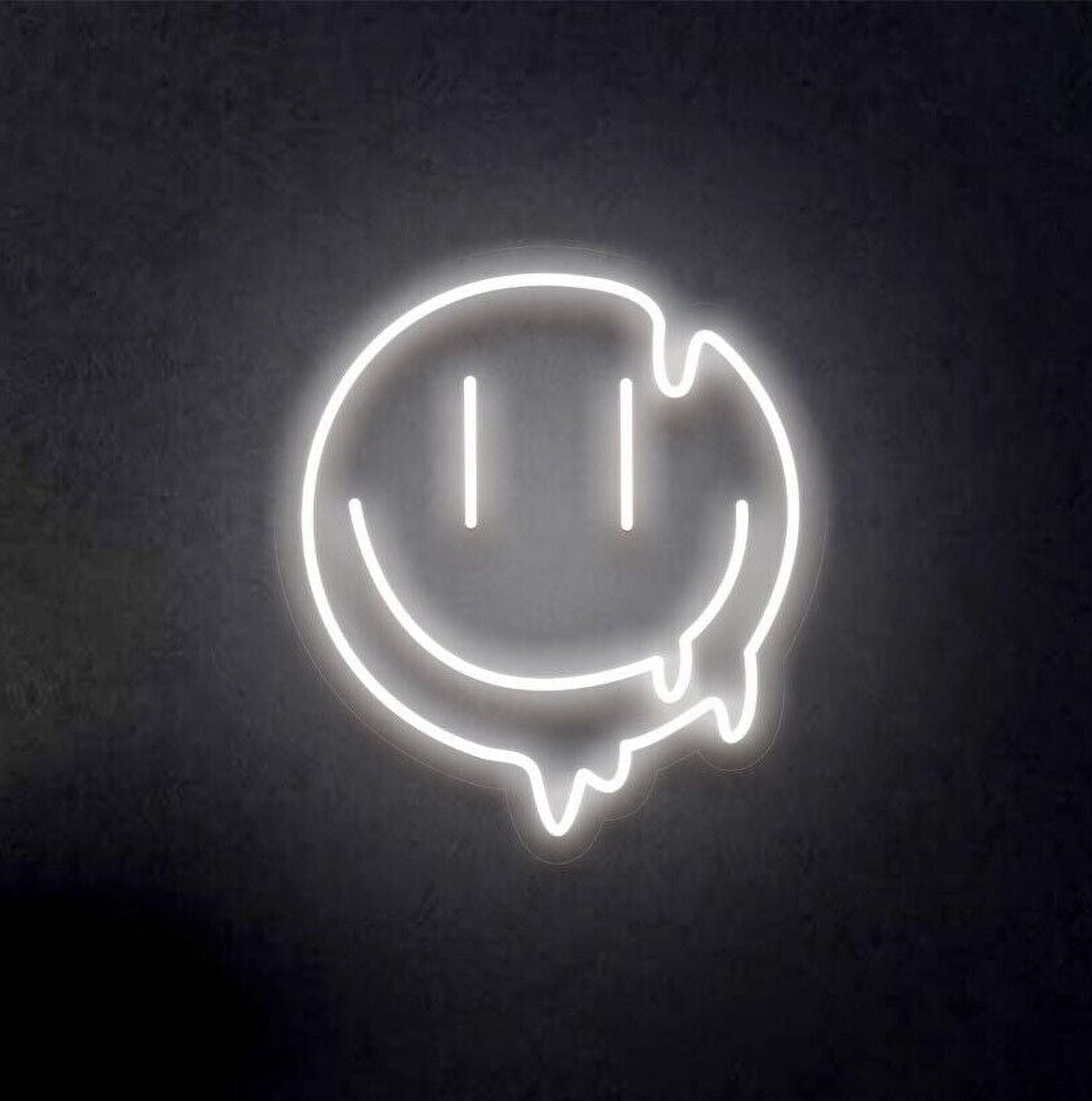 Queen Sense 14"x11.9" Melting Dripping Smile LED Sign Light Party Wall ...