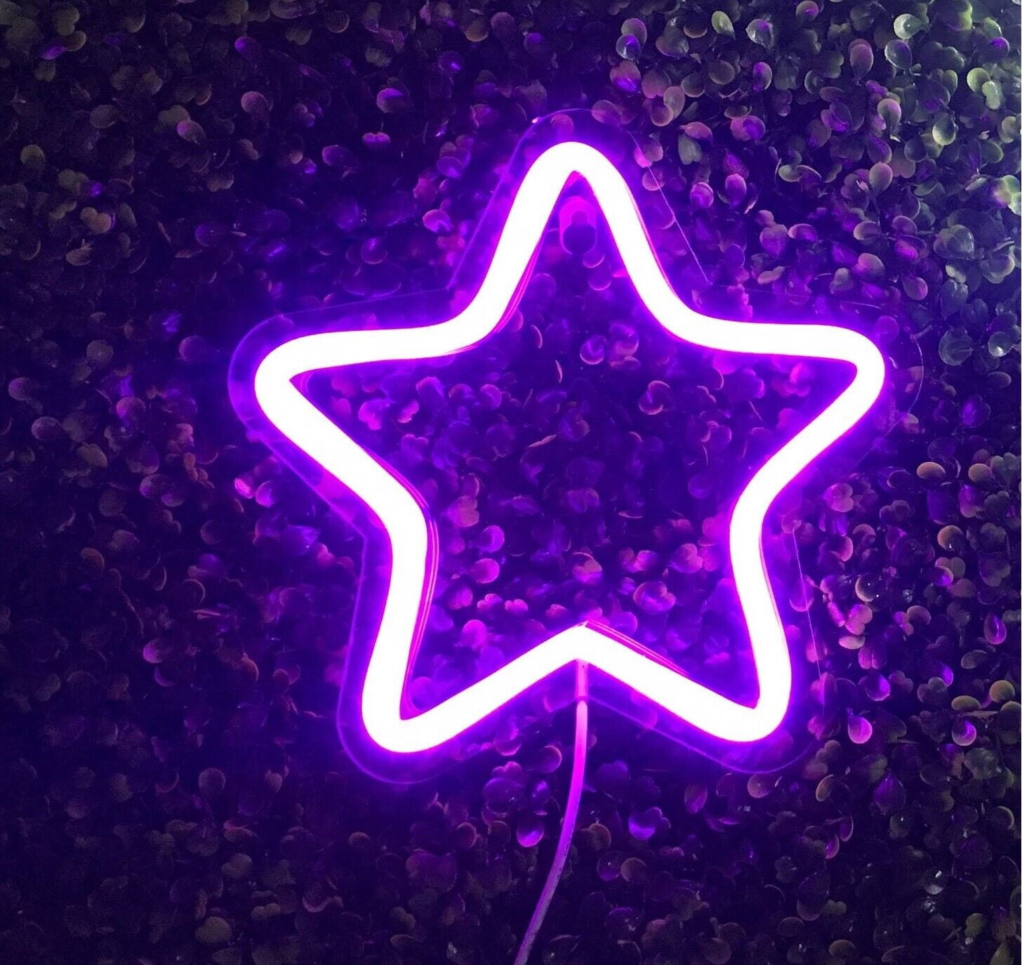 Queen Sense 14"x13.8" Pentagram Star LED Sign Light Decor Party Wall ...