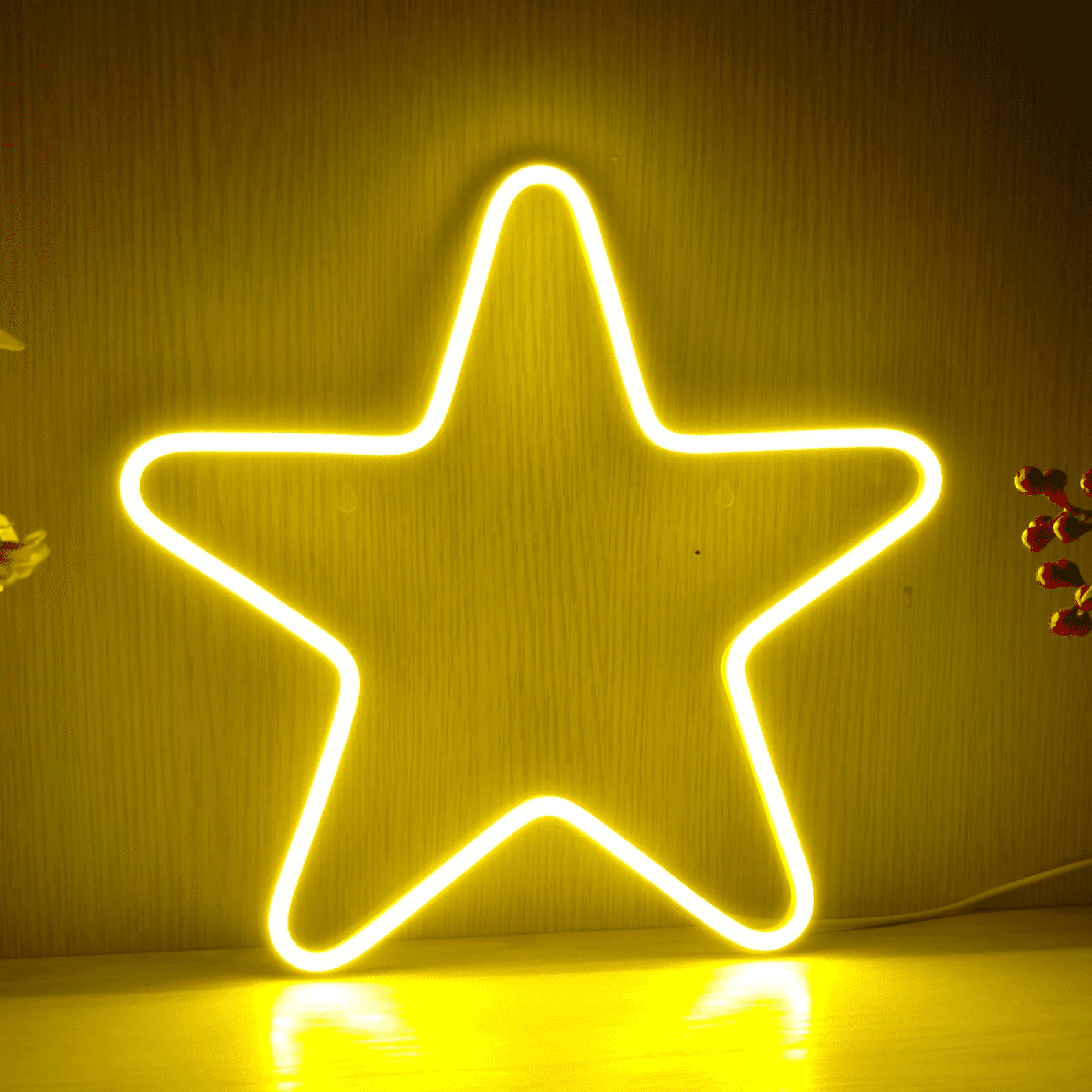 Queen Sense 14"x13.8" Pentagram Star LED Sign Light Party Night Wall ...