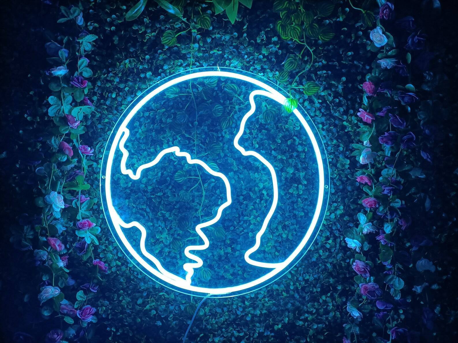 Queen Sense 14"x14.2" Earth LED Sign Light Wall Decor Party Night ...