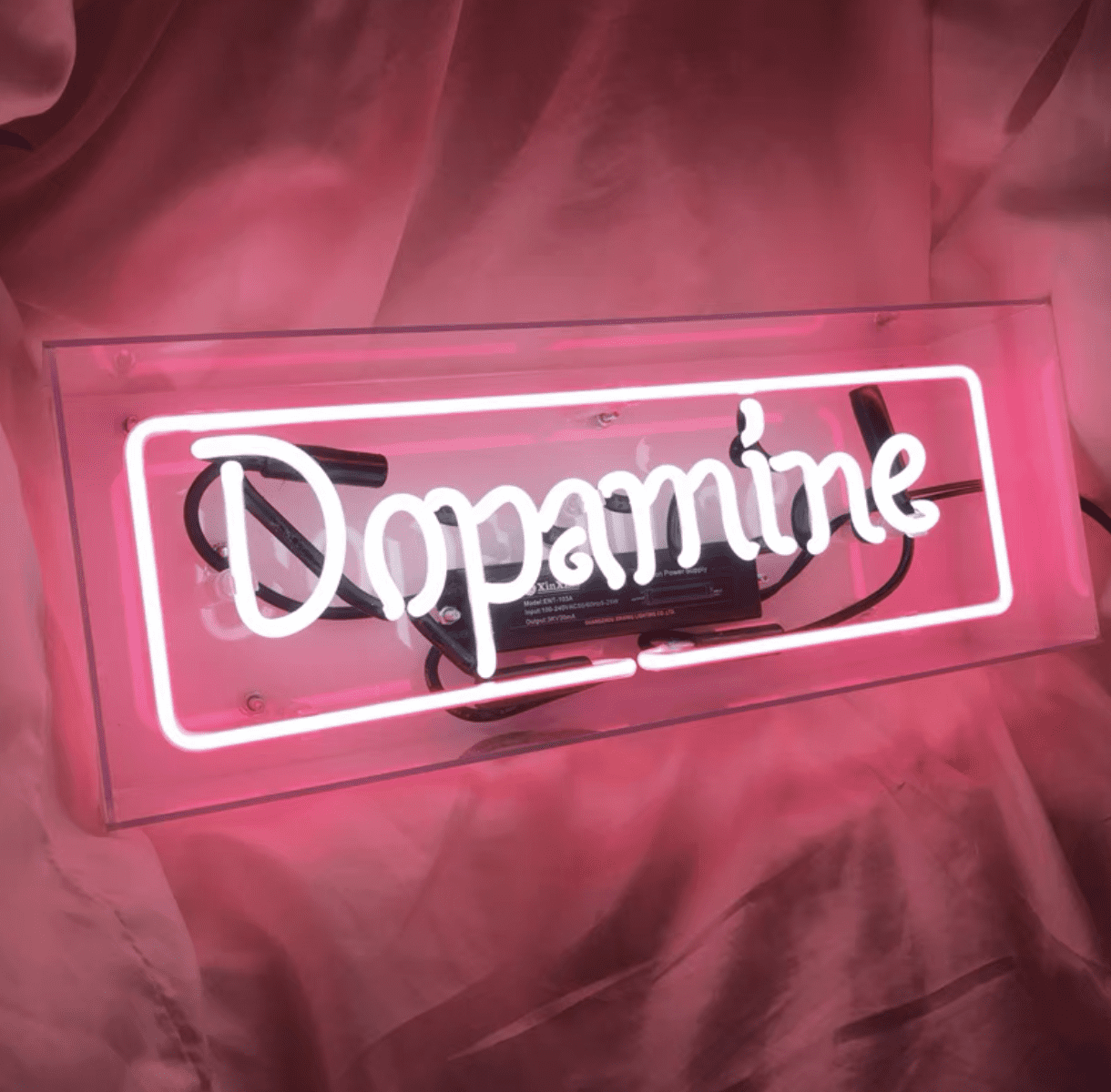 Queen Sense 17" Dopamine Neon Sign Acrylic Box Man Cave Pub Bar Wall ...