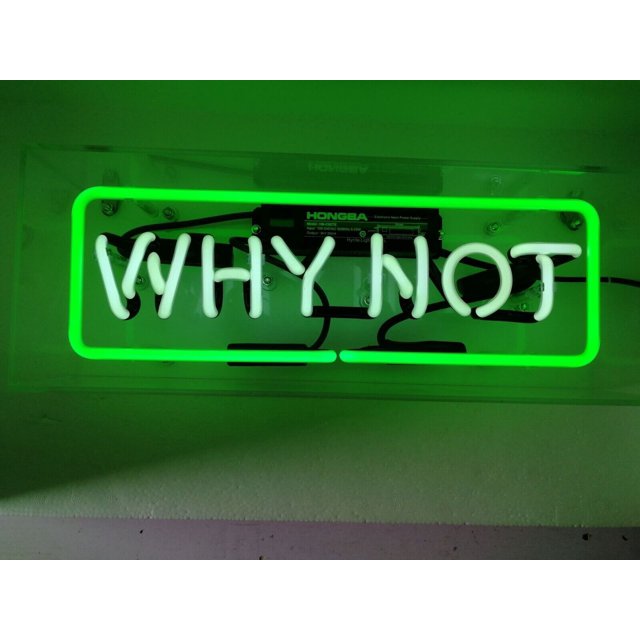 Queen Sense 17" Why Not Neon Sign Acrylic Box Man Cave Beer Pub Bar ...