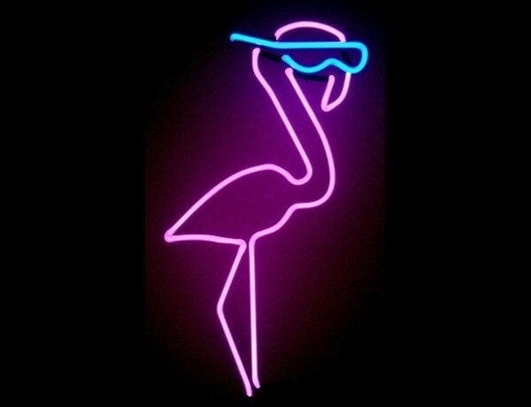 Queen Sense 17"x10" Custom Flamingo Pink Neon Sign With Dimmer Man Cave ...