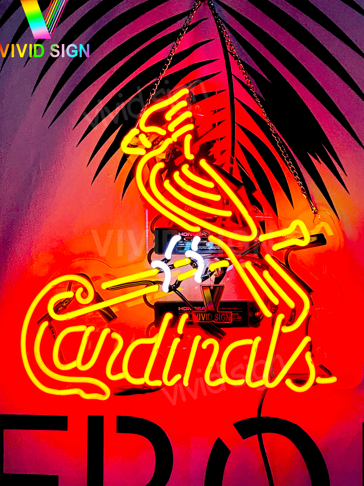 Queen Sense 20" St Louis Cardinals Neon Sign, Handmade, Energy ...