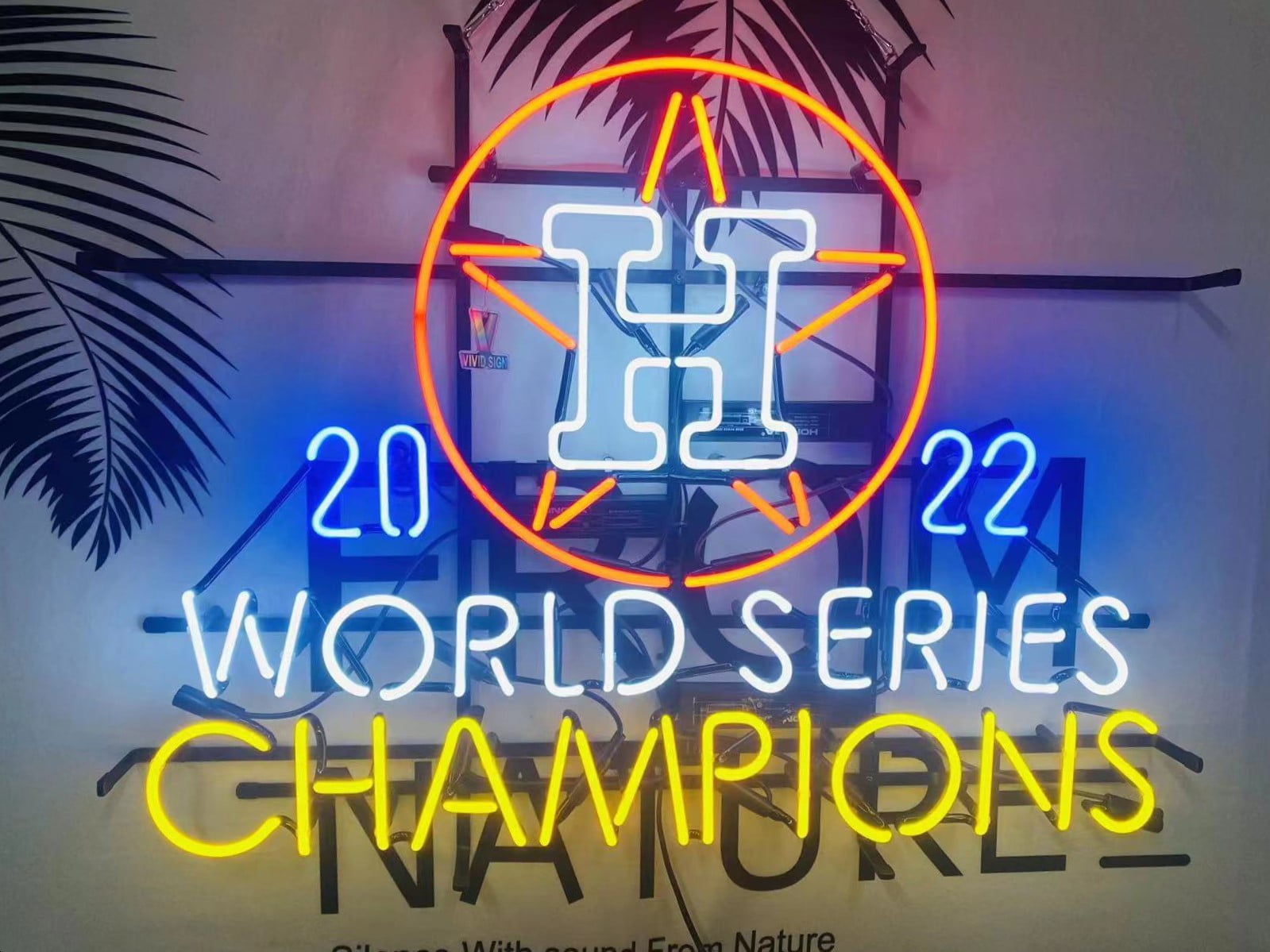 Queen Sense 24"x20" For Houstons Sports League Astros 2022 World Series ...