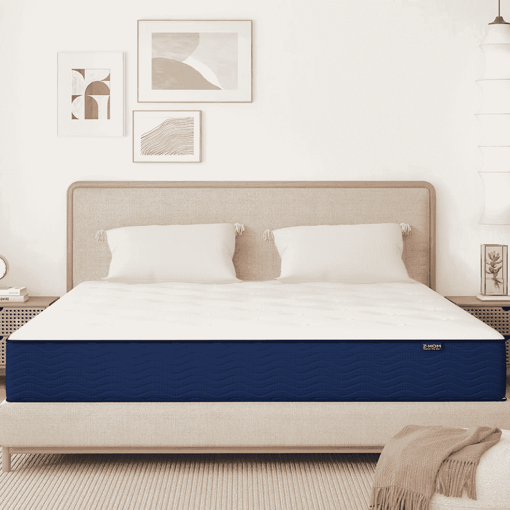 Queen Size Foam Mattress in a Box,10" Hybrid Mattresses Medium Firm Bed ...
