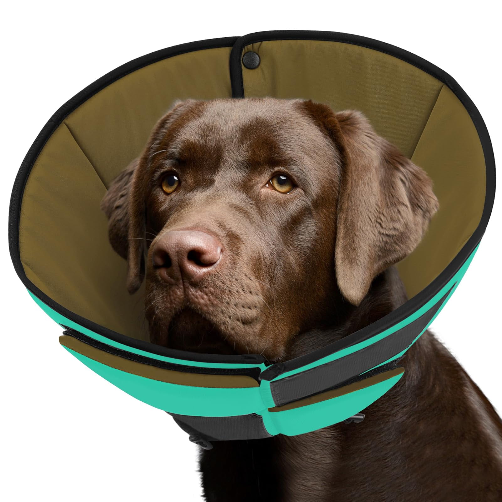 Queenmore Dog Cone, FEV6 Soft Dog Cone for Large Dogs, Dog Cone Collar ...