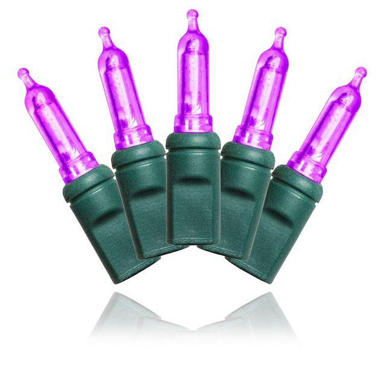 Queens of Christmas T5 LED String Lights with 4 in. Spacing Wire ...