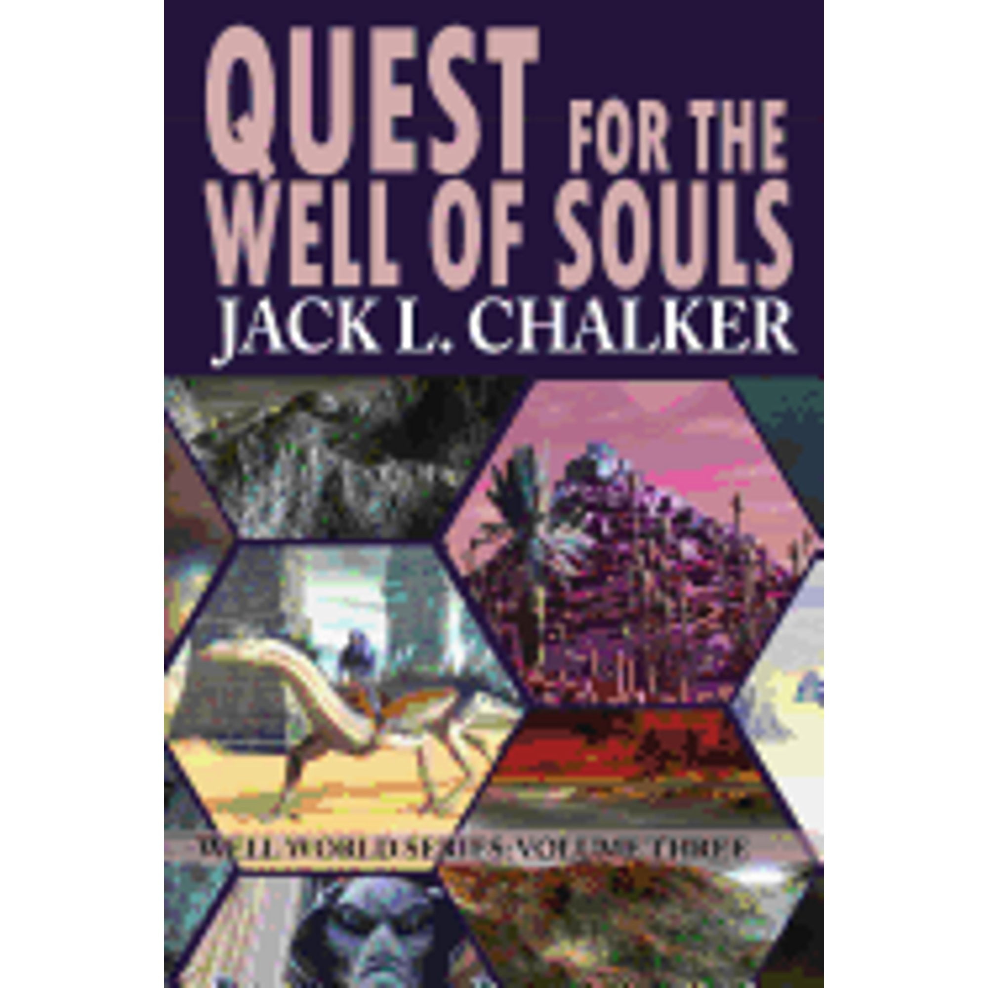 Quest for the Well of Souls (Well World Saga: Volume 3) (Paperback) by ...