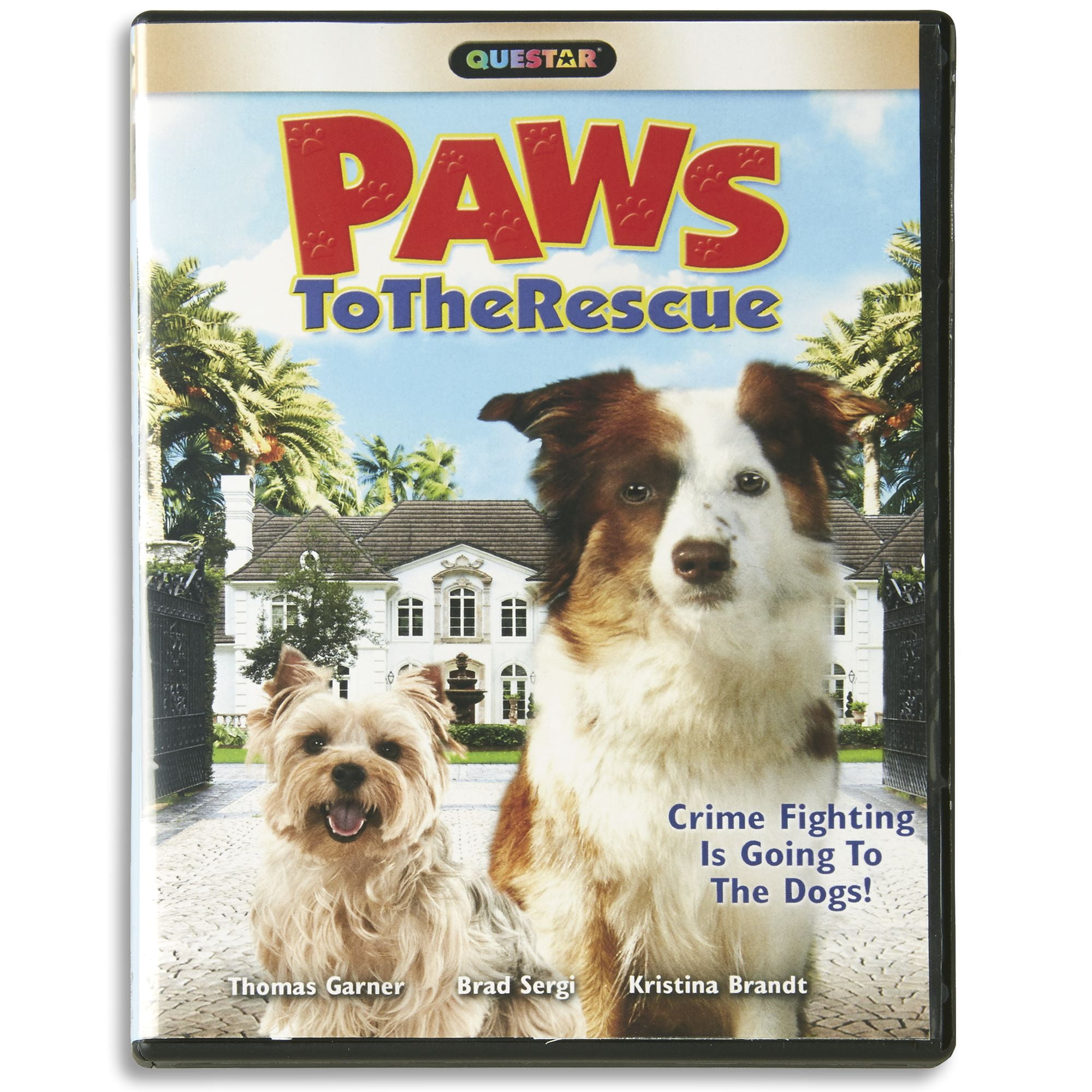 Questar Paws to the Rescue (Little Heroes) DVD - Walmart.com
