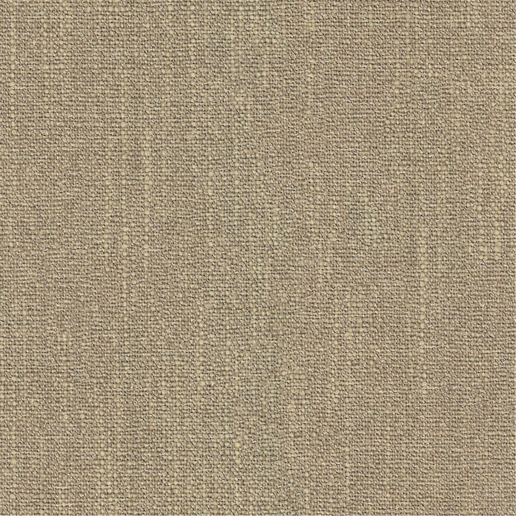 Quick - Enjoy & Dark Khaki Tone - Library Corner with Elegant Look ...